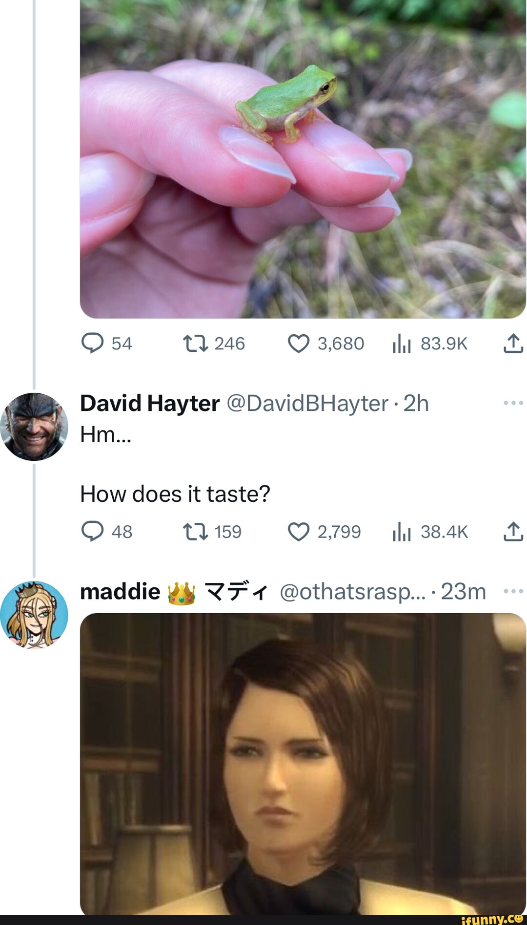 David Hayter Memes