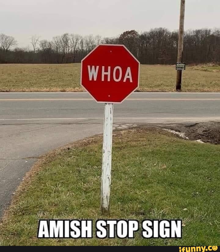 AMISH STOP SIGN - iFunny