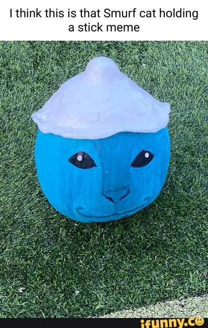 Think this is that Smurf cat holding stick meme - iFunny