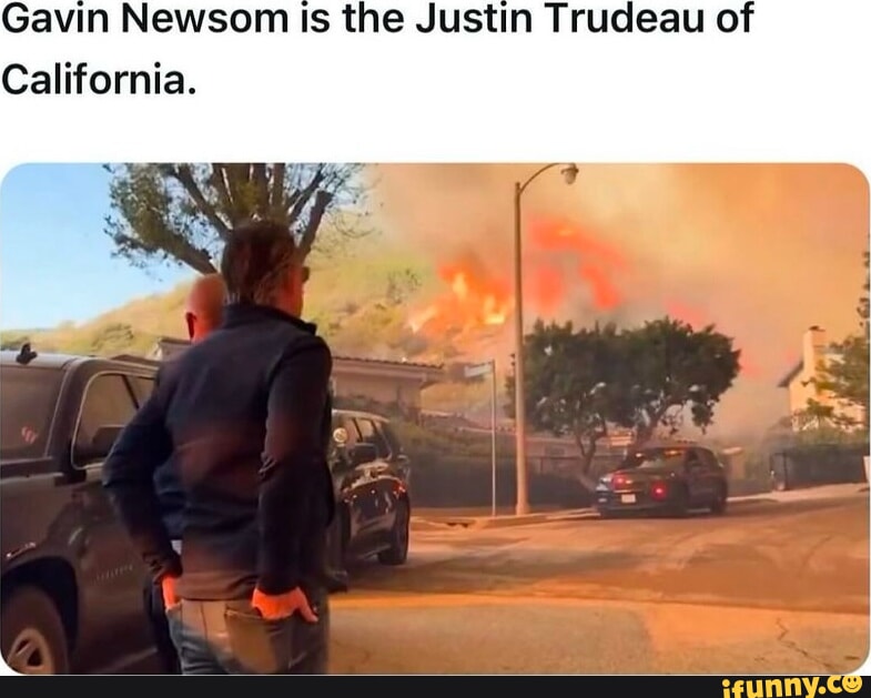 Gavin Newsom ts the Justin Trudeau of California. - iFunny