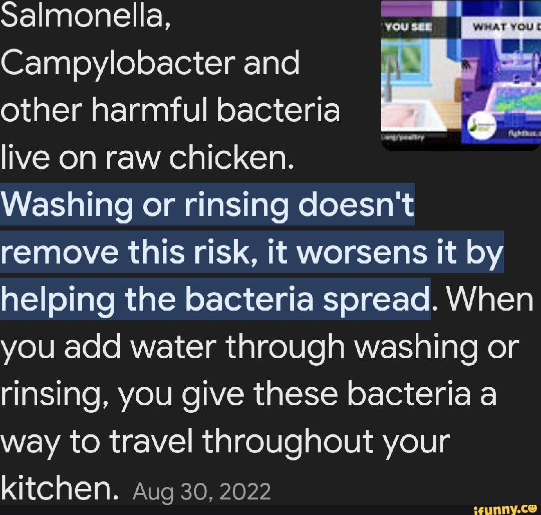 Salmonella, Campylobacter and other harmful bacteria live on raw ...