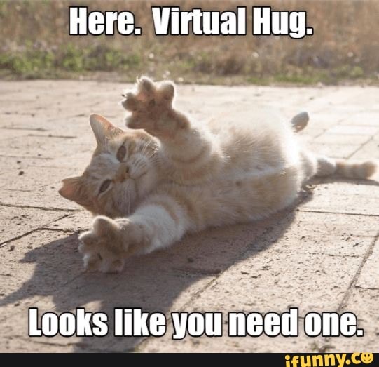 Here. Virtual Hug. Looks like you need one. - iFunny