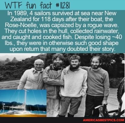 WTF fun fact In 1989, 4 sailors survived at sea near New Zealand for ...