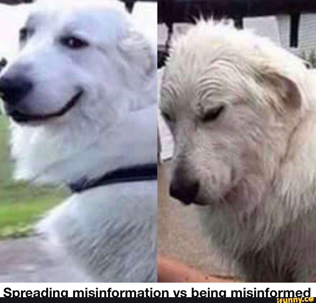 Snreadina misinformation vs being misinformed - iFunny
