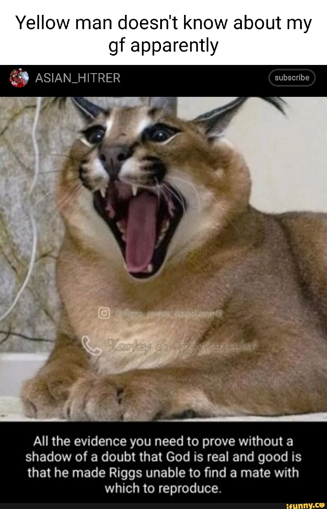 Yellow man doesn't know about my gf apparently ASIAN_HITRER All the ...