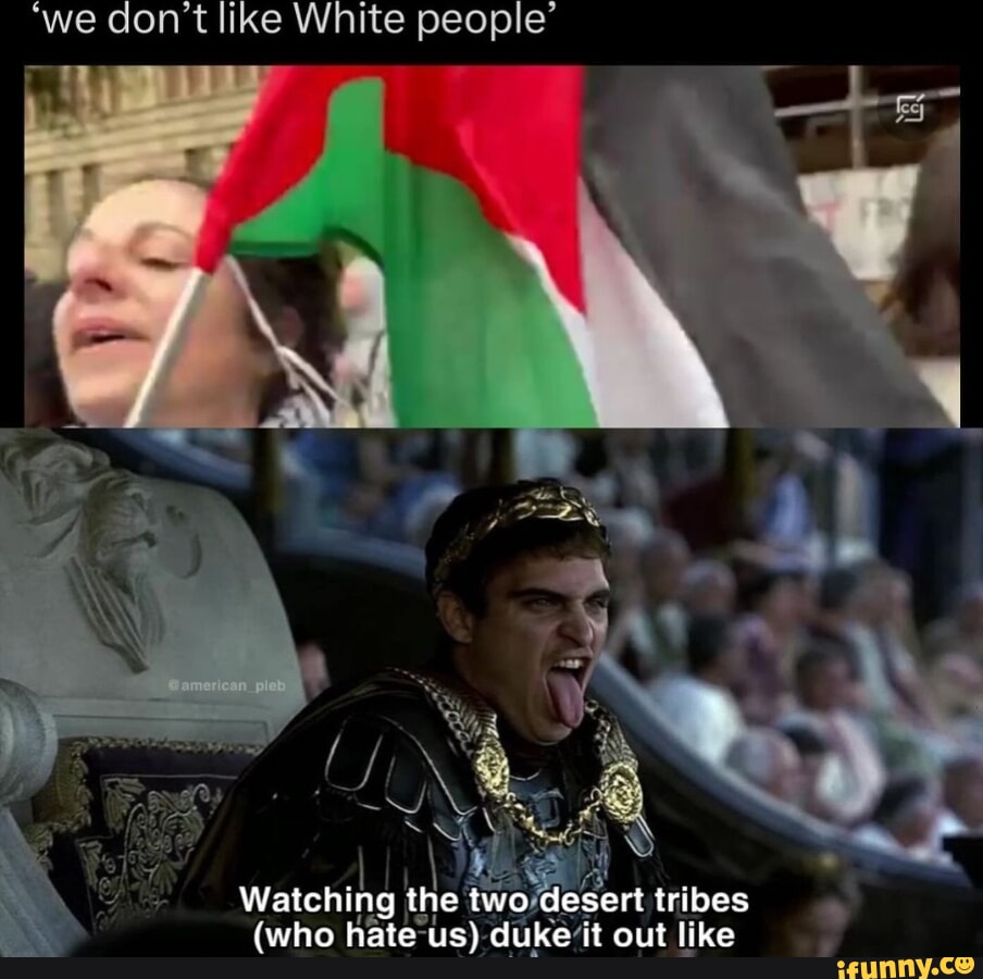 Desert memes. Best Collection of funny Desert pictures on iFunny