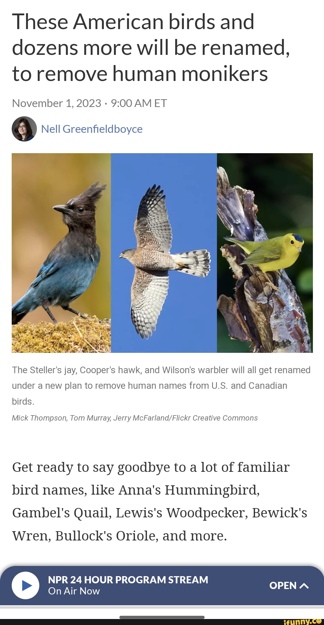 Warbler memes. Best Collection of funny Warbler pictures on iFunny