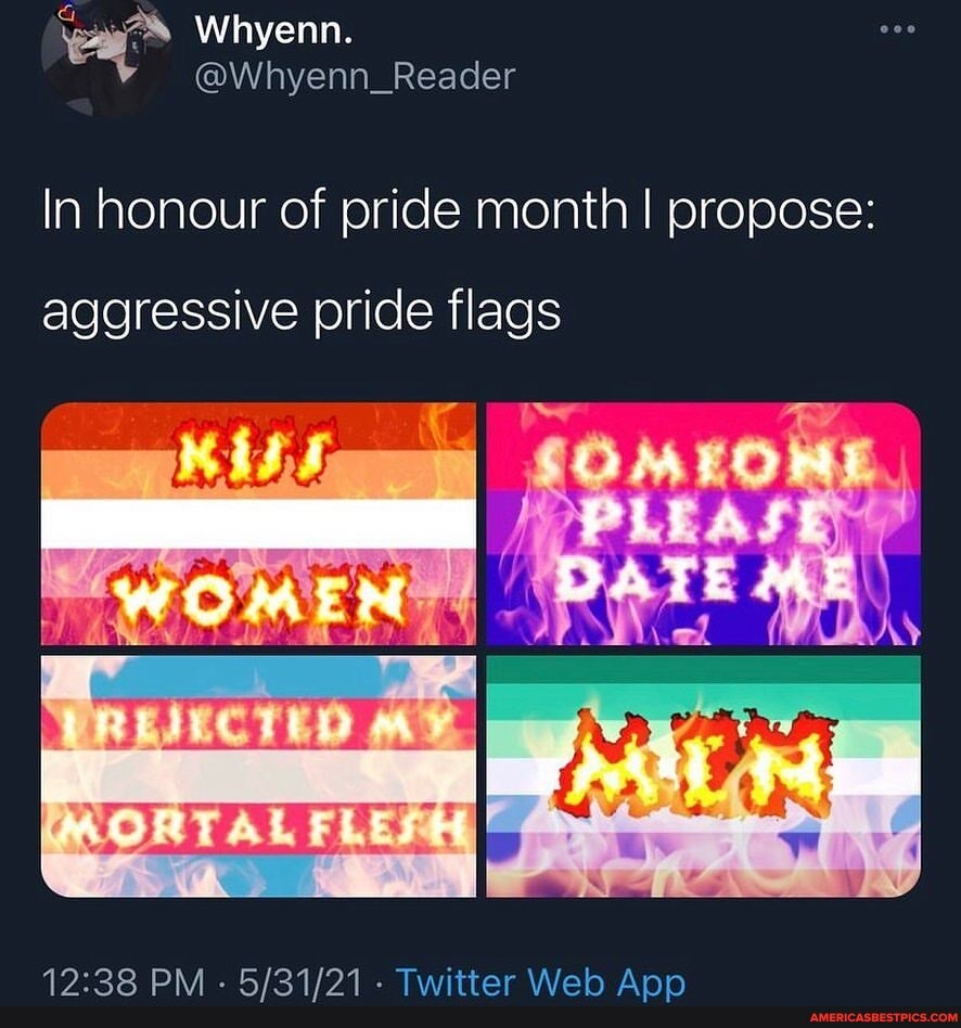 Whyenn. In honour of pride month I propose: aggressive pride flags WO ...