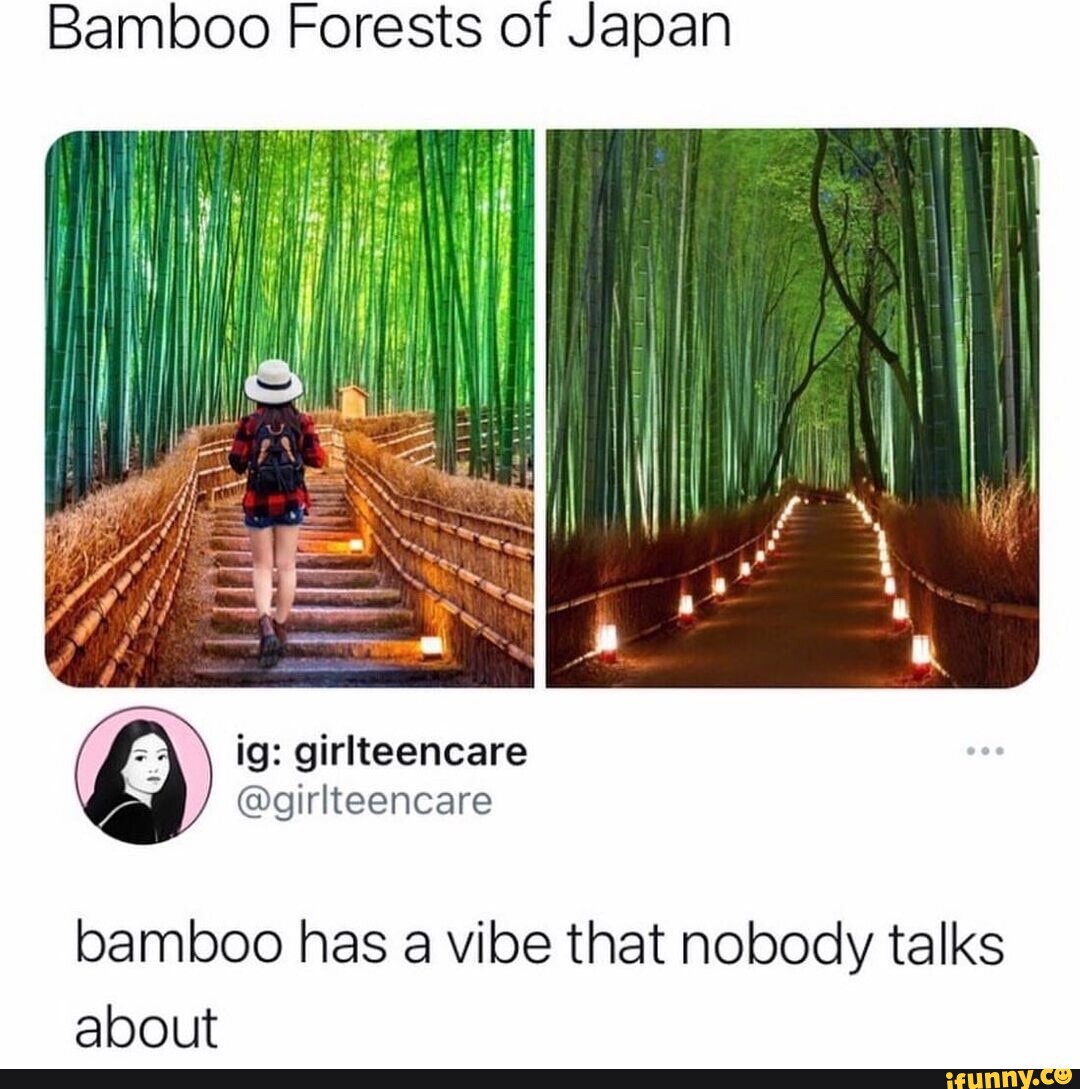 Bamboo Forests of Japan ig: girlteencare @girlteencare bamboo has a vibe that nobody talks about ...
