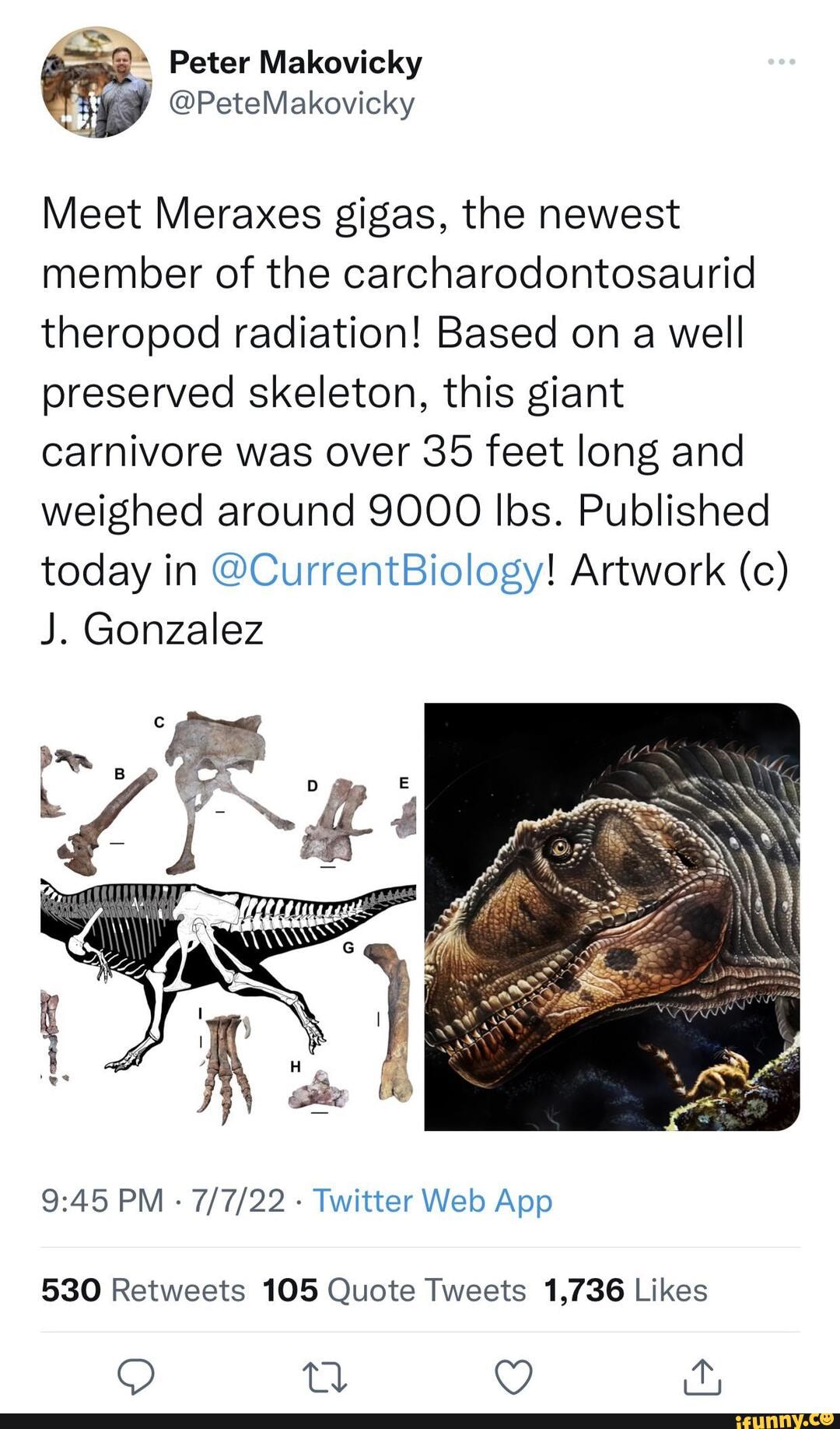 Meraxes memes. Best Collection of funny Meraxes pictures on iFunny