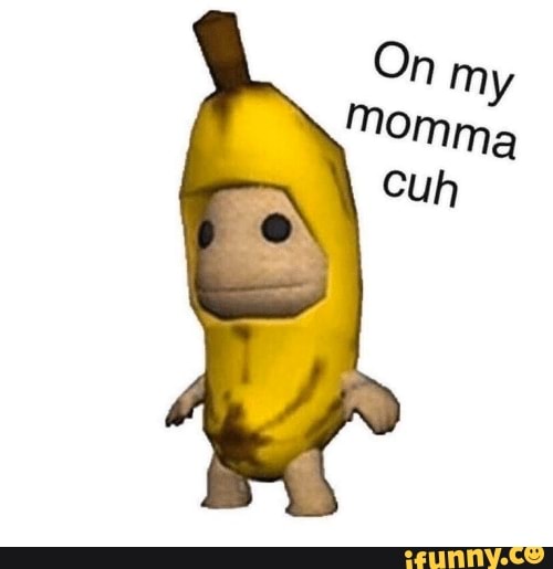 Tacuache memes. Best Collection of funny Tacuache pictures on iFunny