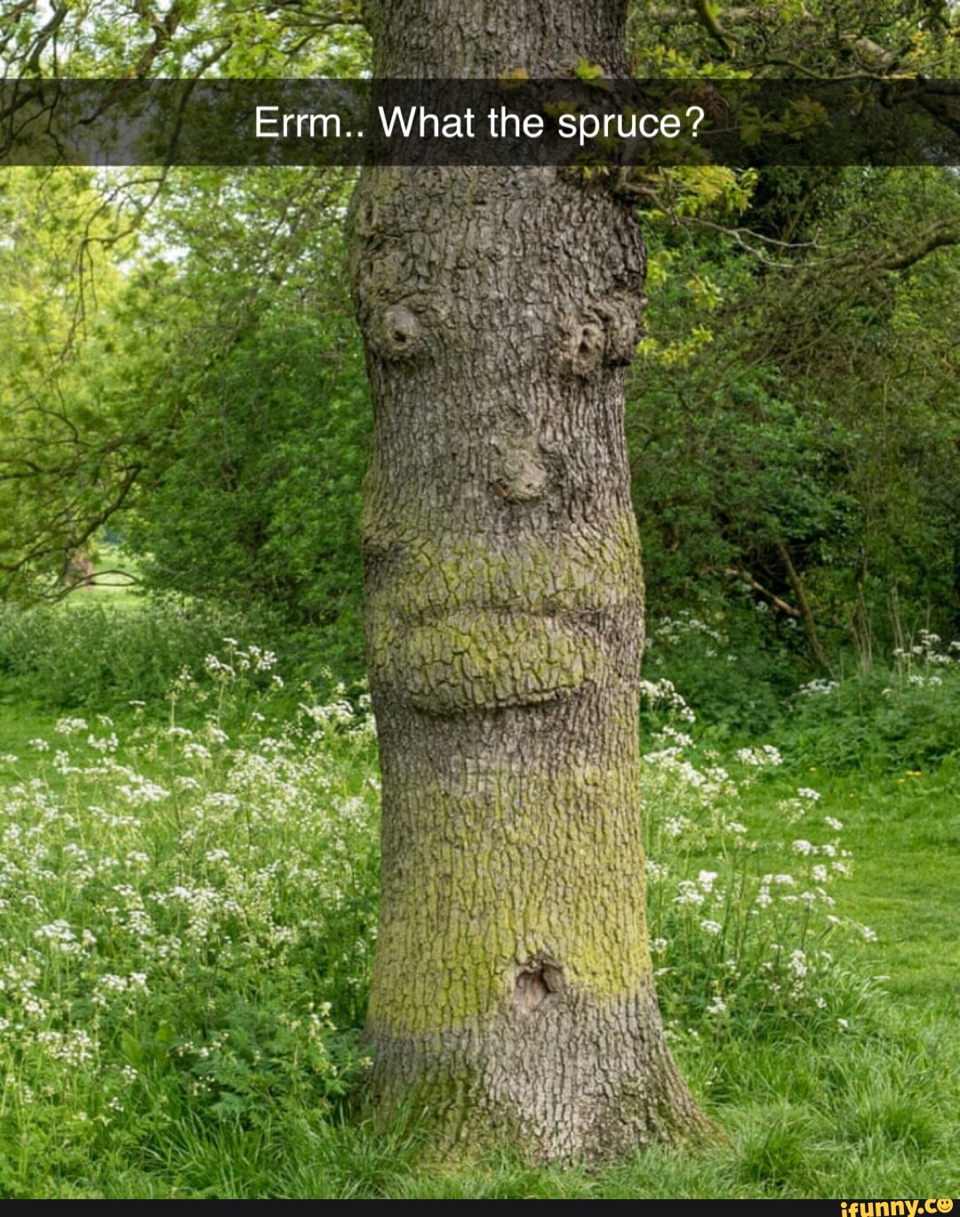 "So, what if, instead of thinking about solving your whole life, you ...