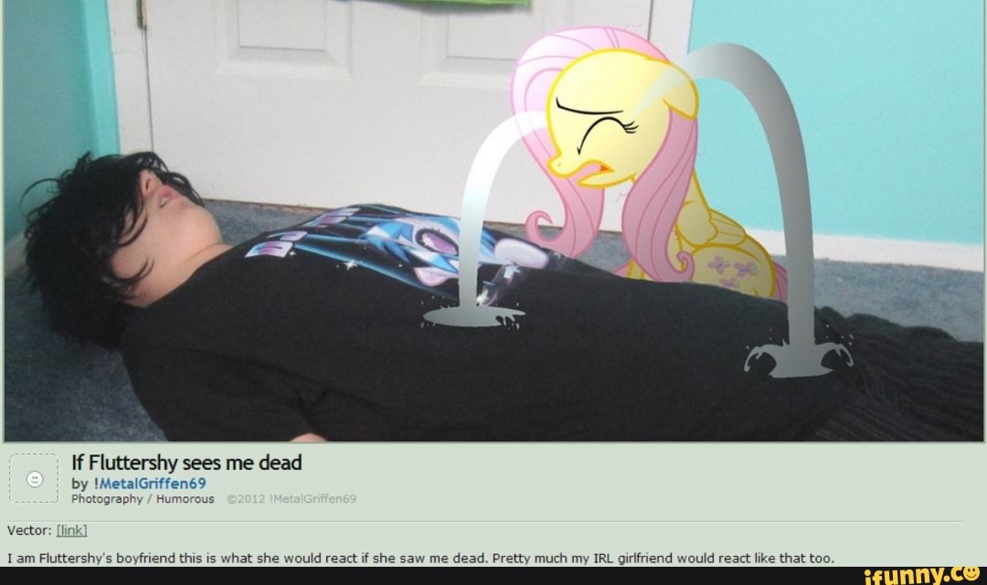 Fluttershys memes. Best Collection of funny Fluttershys pictures on iFunny