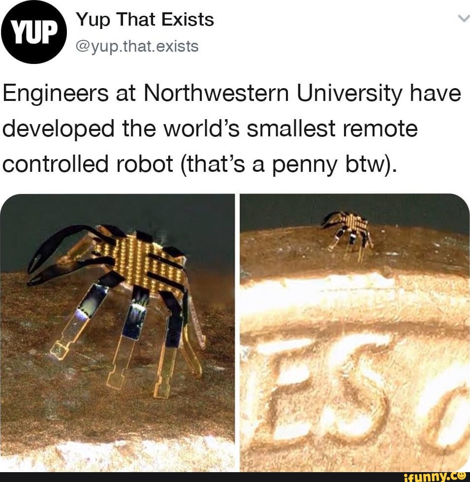 Northwestern memes. Best Collection of funny Northwestern pictures on ...