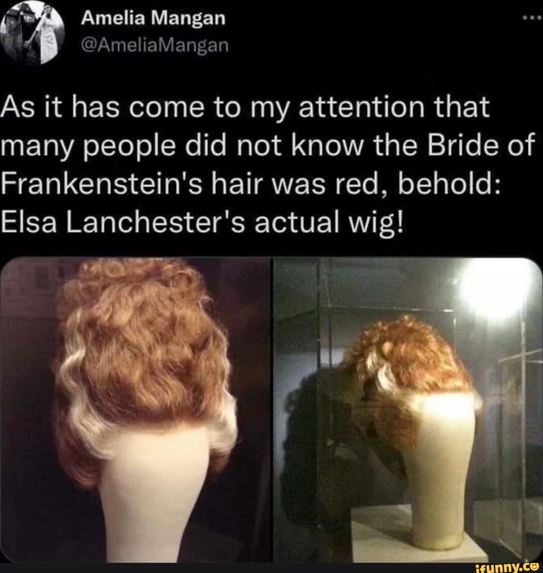 Amelia memes. Best Collection of funny Amelia pictures on iFunny