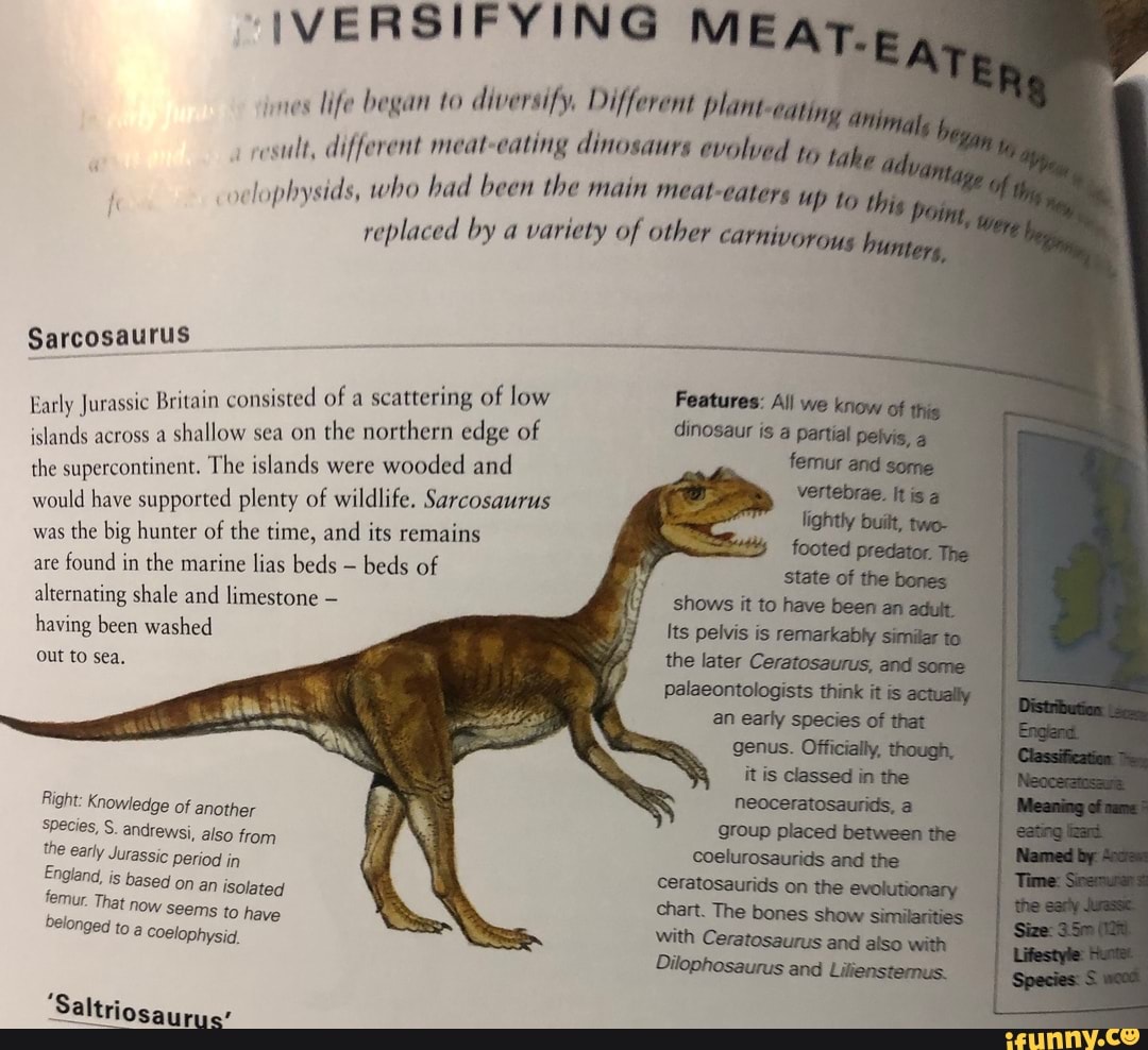 Sarcosaurus memes. Best Collection of funny Sarcosaurus pictures on iFunny