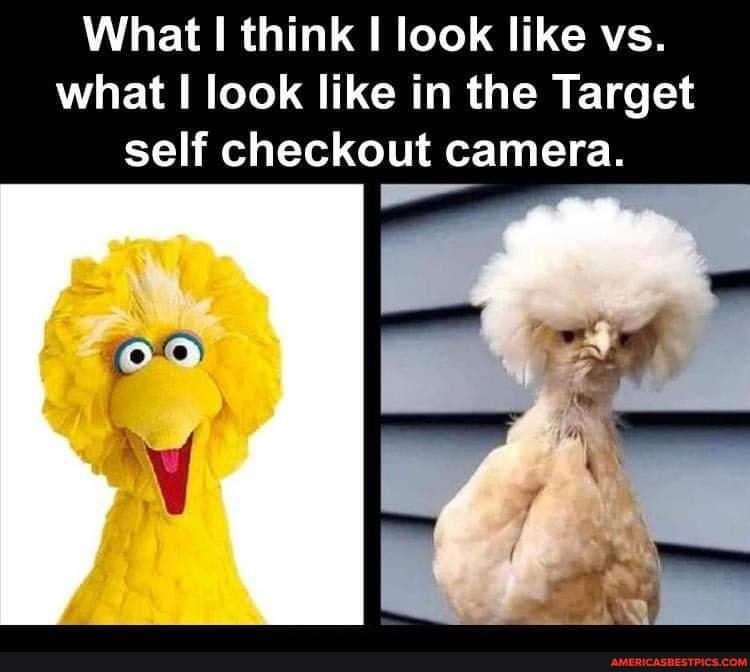 What think look like vs. what look like in the Target self checkout ...