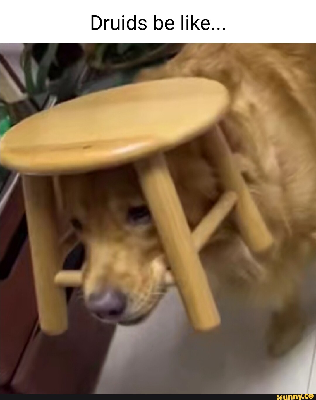 Druids memes. Best Collection of funny Druids pictures on iFunny