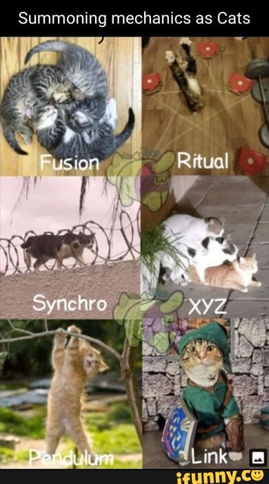 Fusion memes. Best Collection of funny Fusion pictures on iFunny