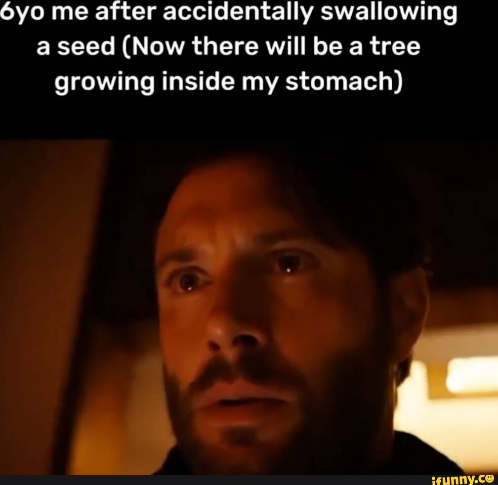 Video memes 6H1DEsQw9 by ysk_young__samael: 29 comments - iFunny