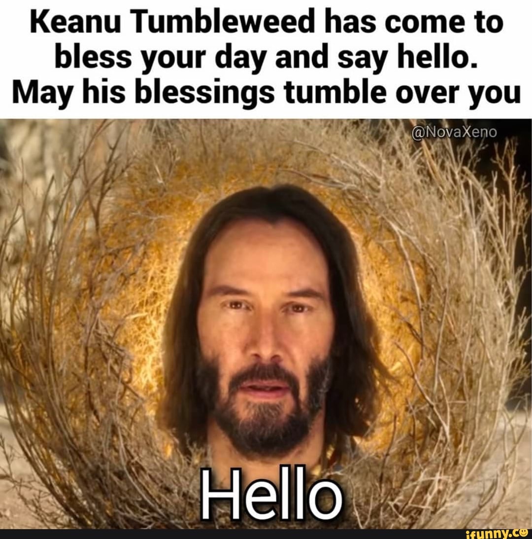 Keanu Tumbleweed has come to bless your day and say hello. May his ...