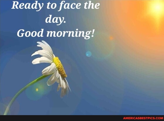 Ready to face the tl day. Good morning! - America’s best pics and videos