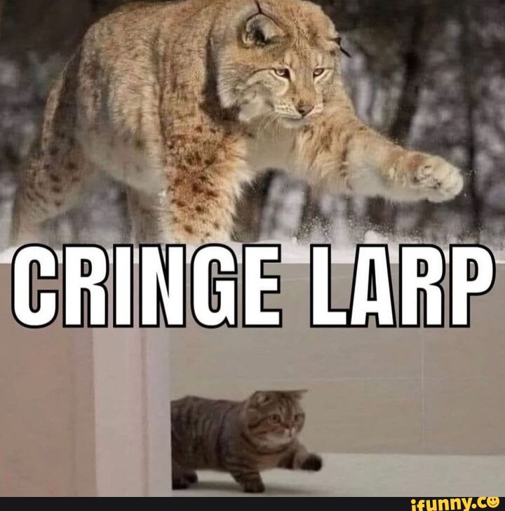 CRINGE LARP - iFunny