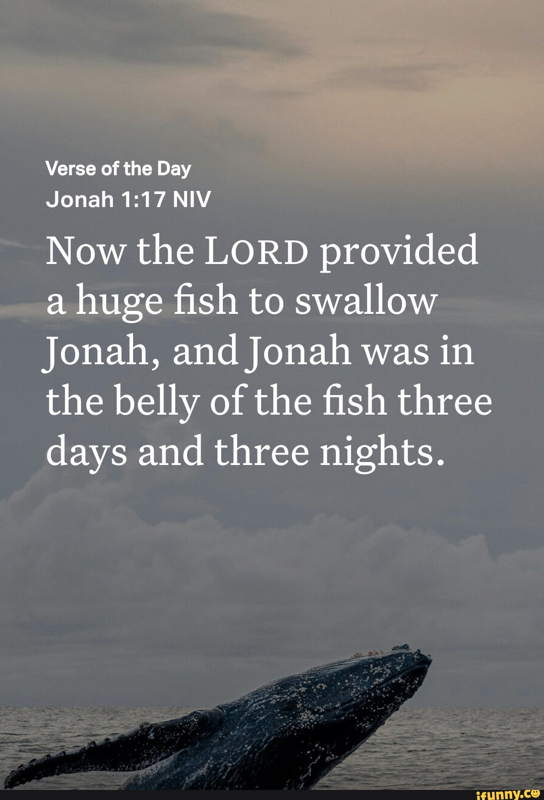 Verse of the Day Jonah NIV Now the LORD provided a huge fish to swallow ...