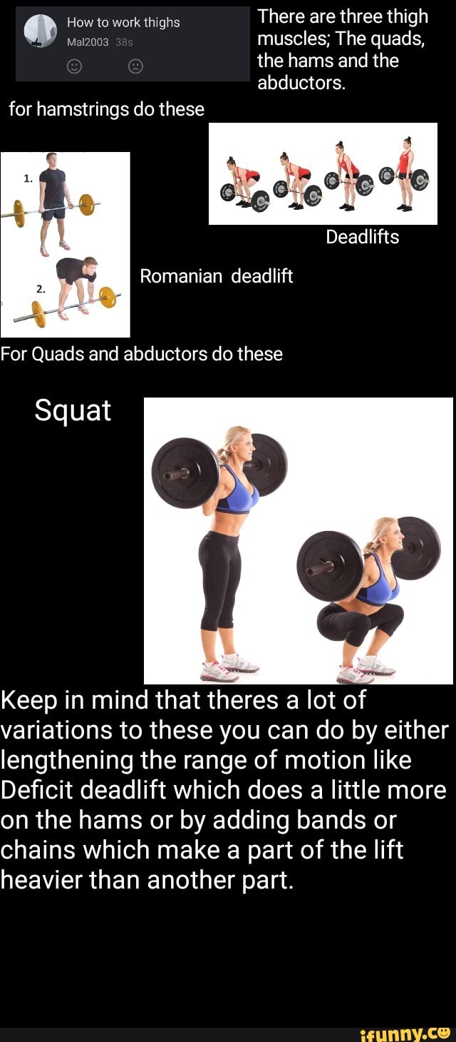 There are three thigh muscles; The quads, the hams and the abductors ...