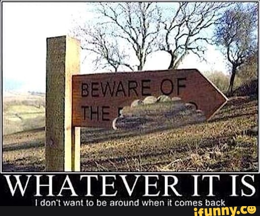 Use over time for: oof - chore - iFunny