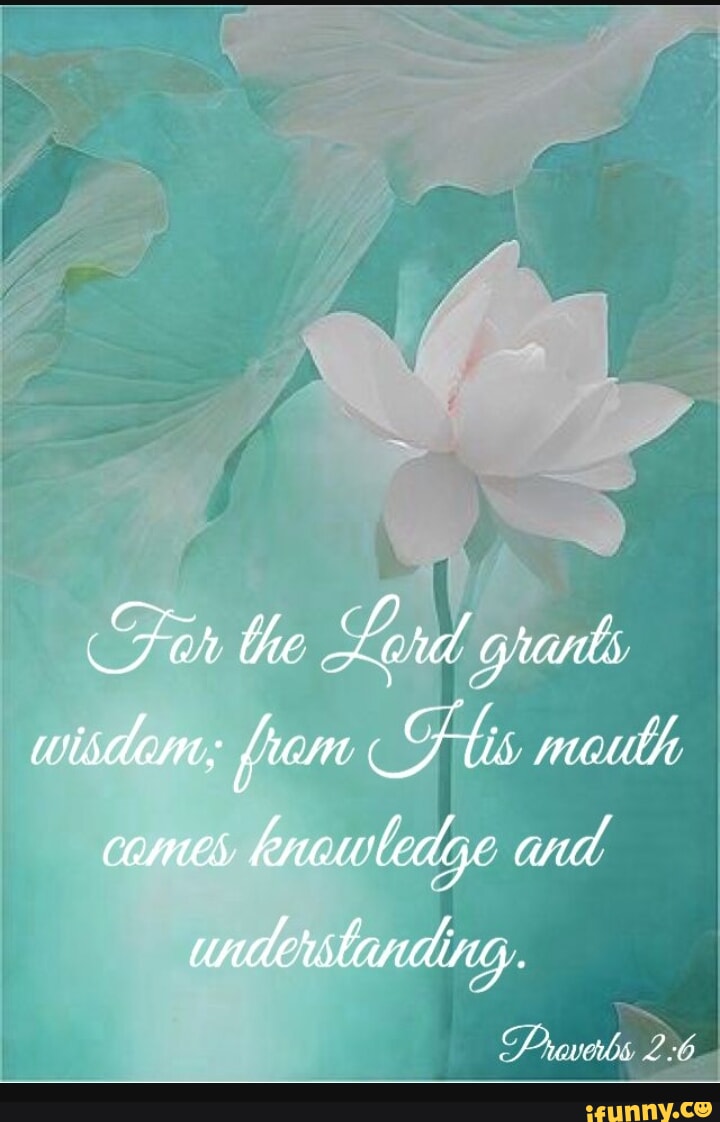 Knawledge memes. Best Collection of funny Knawledge pictures on iFunny