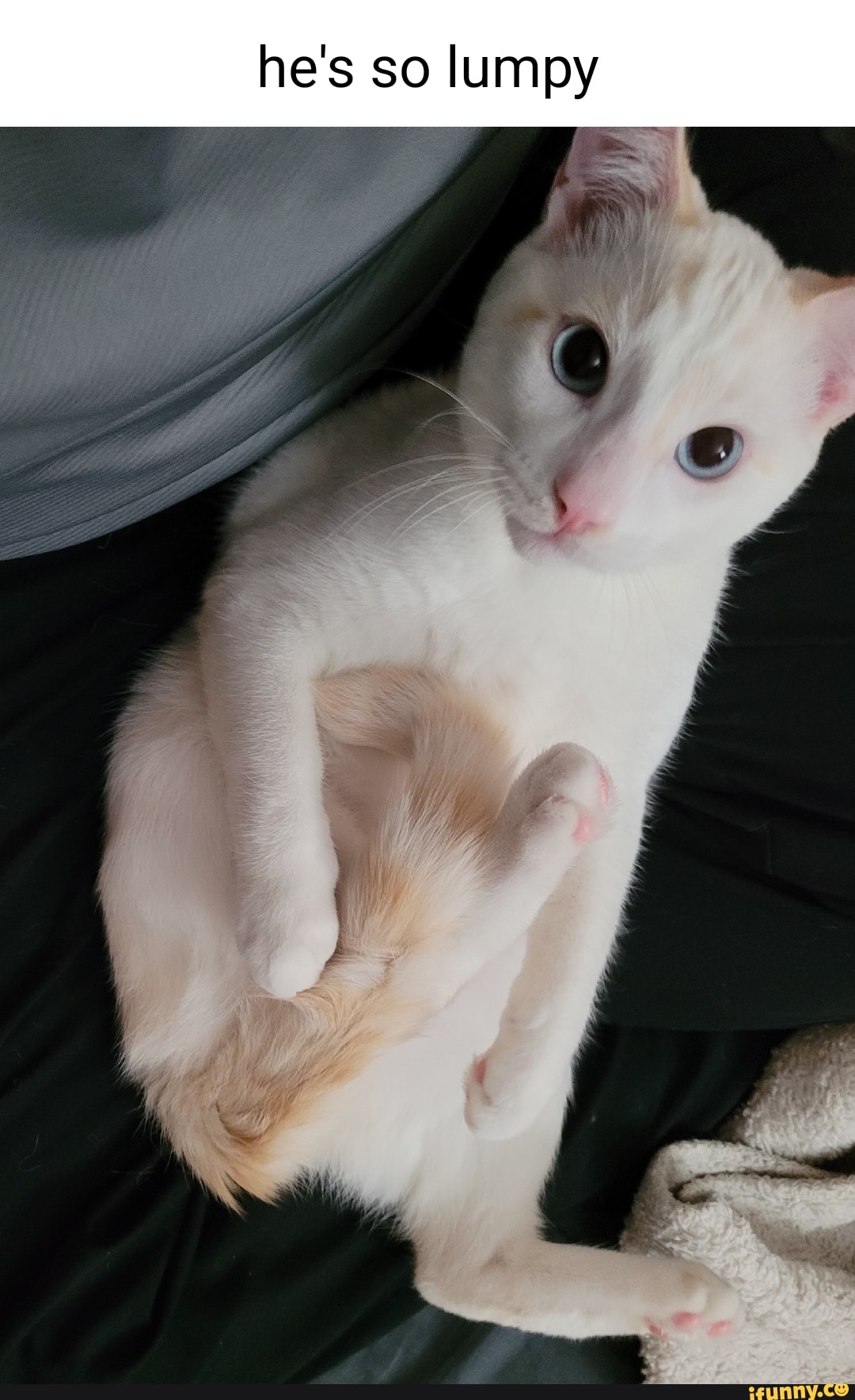 Ne's so lumpy - iFunny