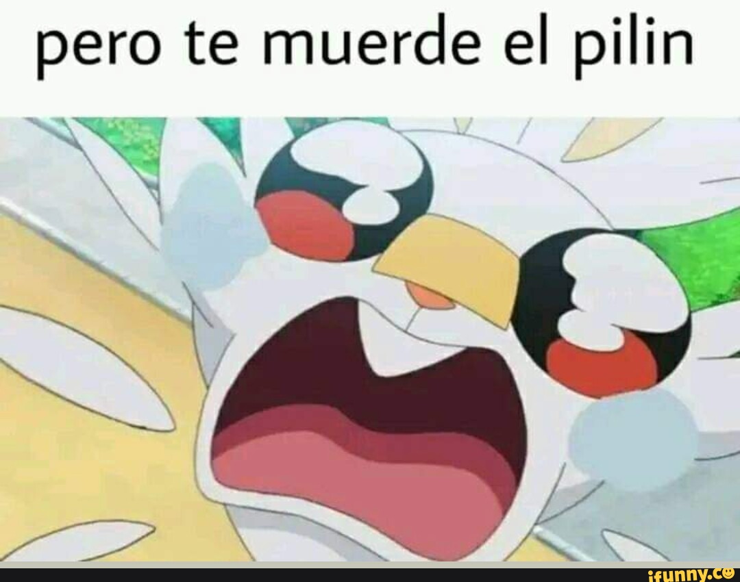Pero te muerde el pilin - iFunny
