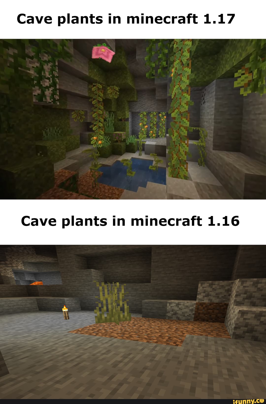 Cave plants in minecraft 1.17 Cave plants in minecraft 1.16 - iFunny