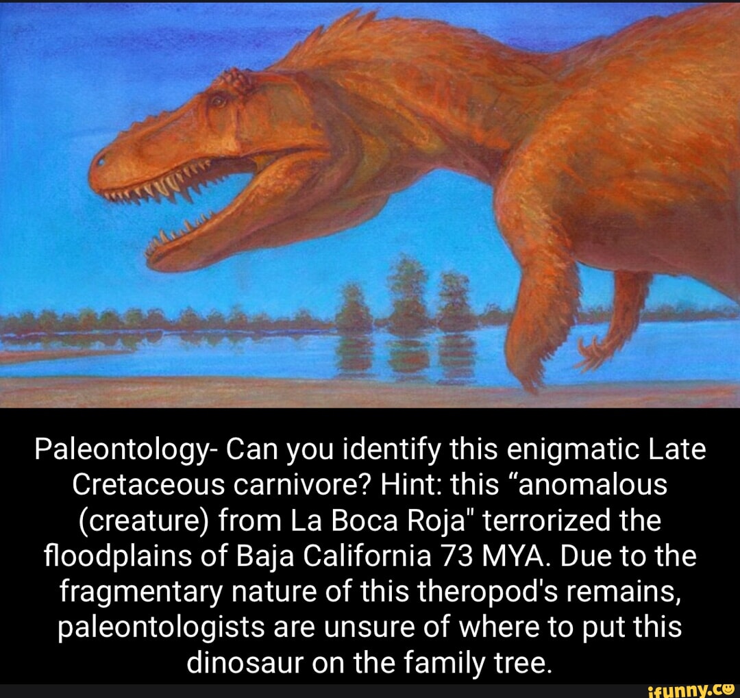 Anomalous memes. Best Collection of funny Anomalous pictures on iFunny