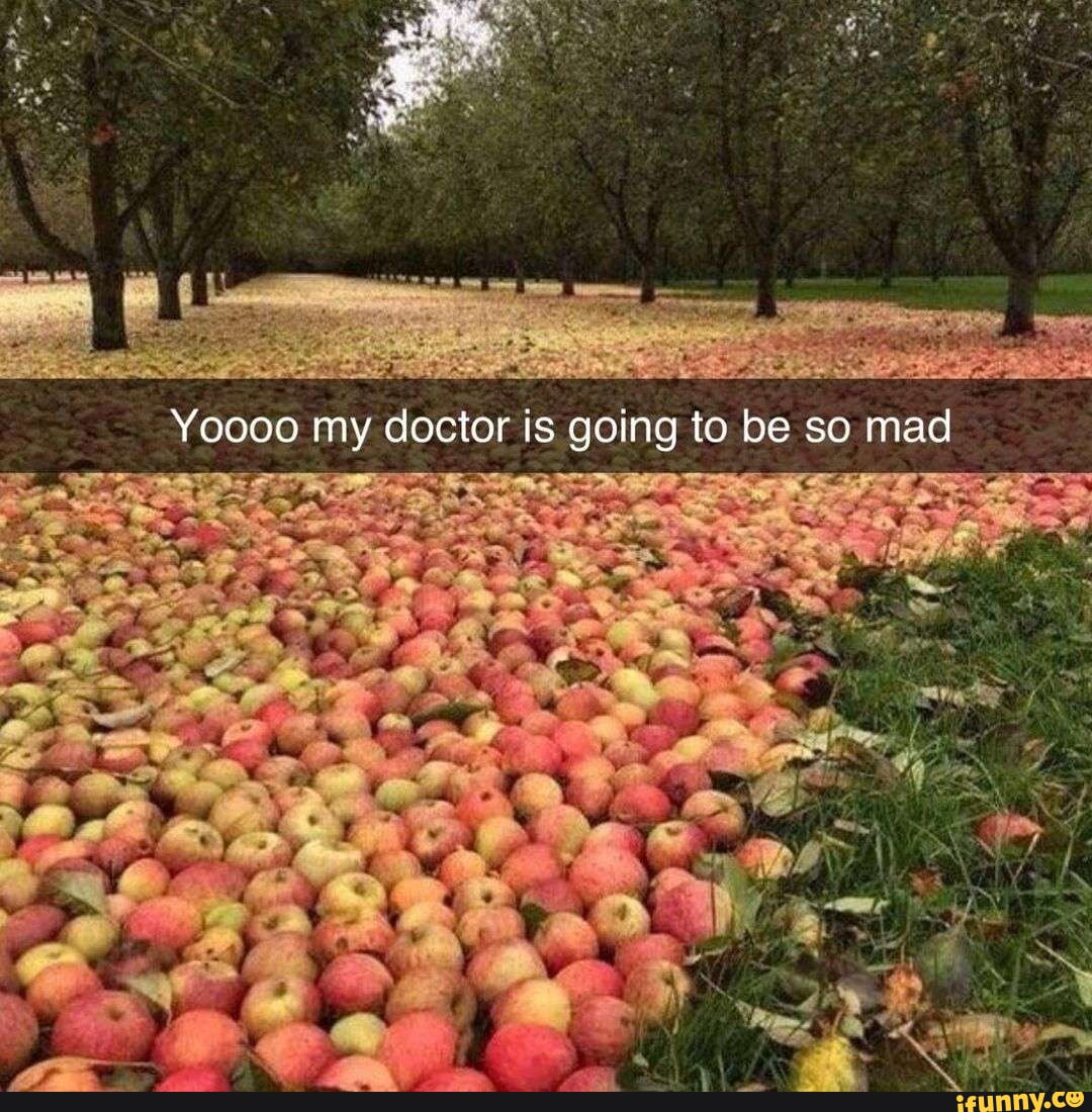 Yoooo memes. Best Collection of funny Yoooo pictures on iFunny