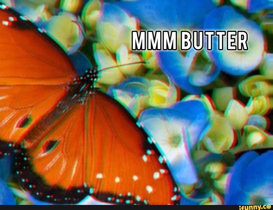 Butterfly memes. Best Collection of funny Butterfly pictures on iFunny