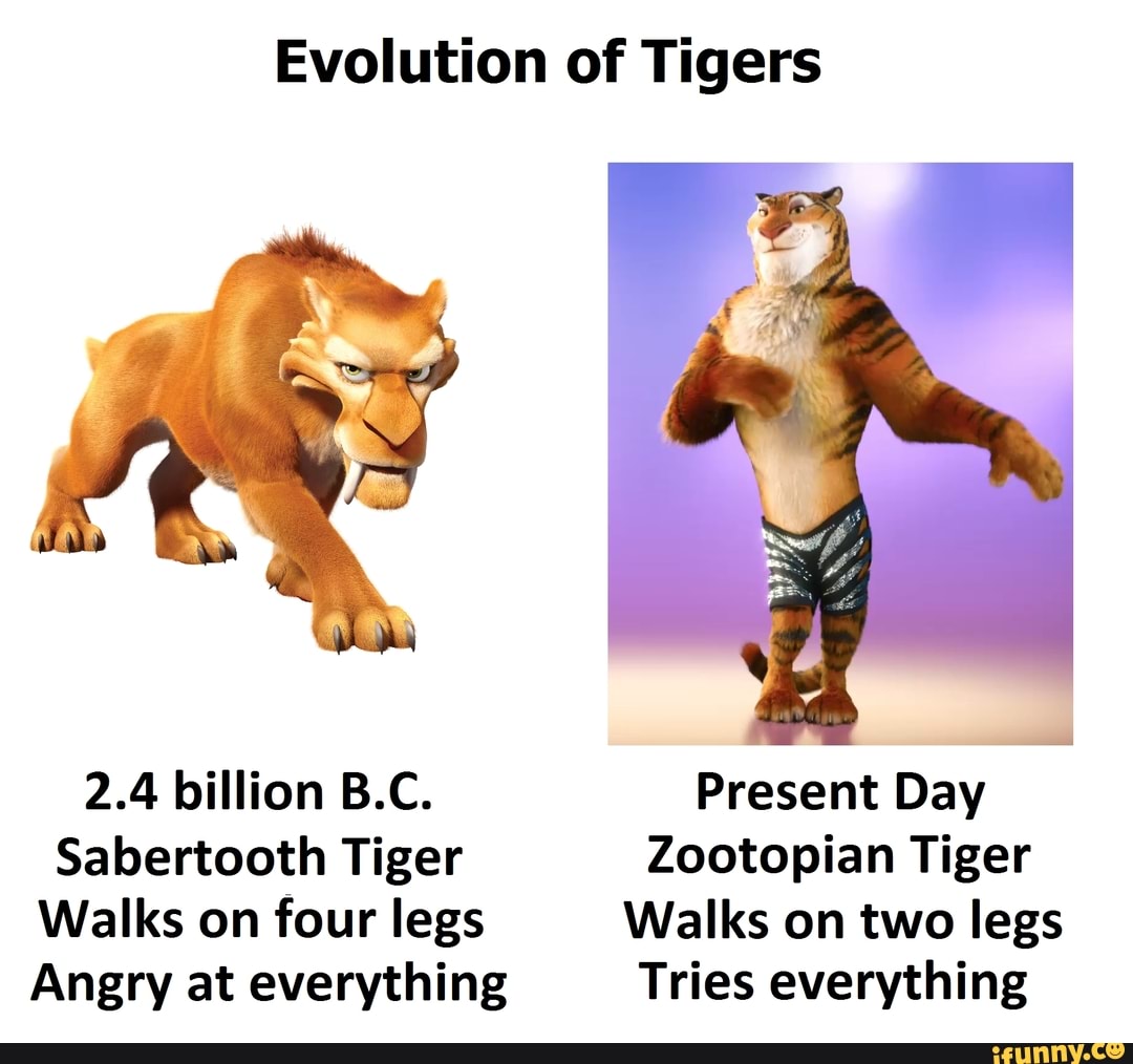Saber Tooth Tiger Evolution