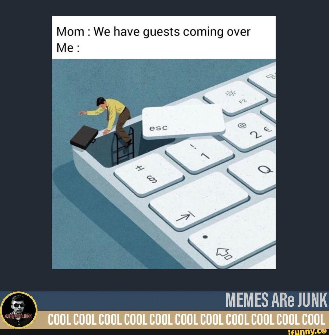 Mom : We have guests coming over Me: MEMES ARe JUNK .JUNK PAM - iFunny