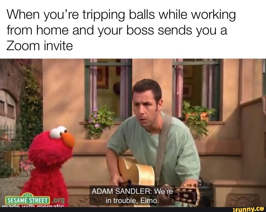 When you're tripping balls while working from home and your boss sends ...