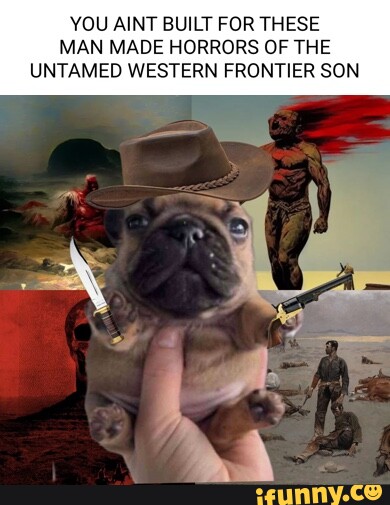 Untamed memes. Best Collection of funny Untamed pictures on iFunny