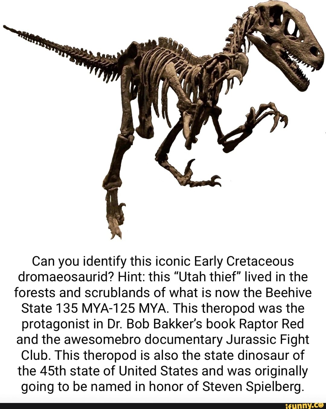 Can you identify this iconic Early Cretaceous dromaeosaurid? Hint: this ...