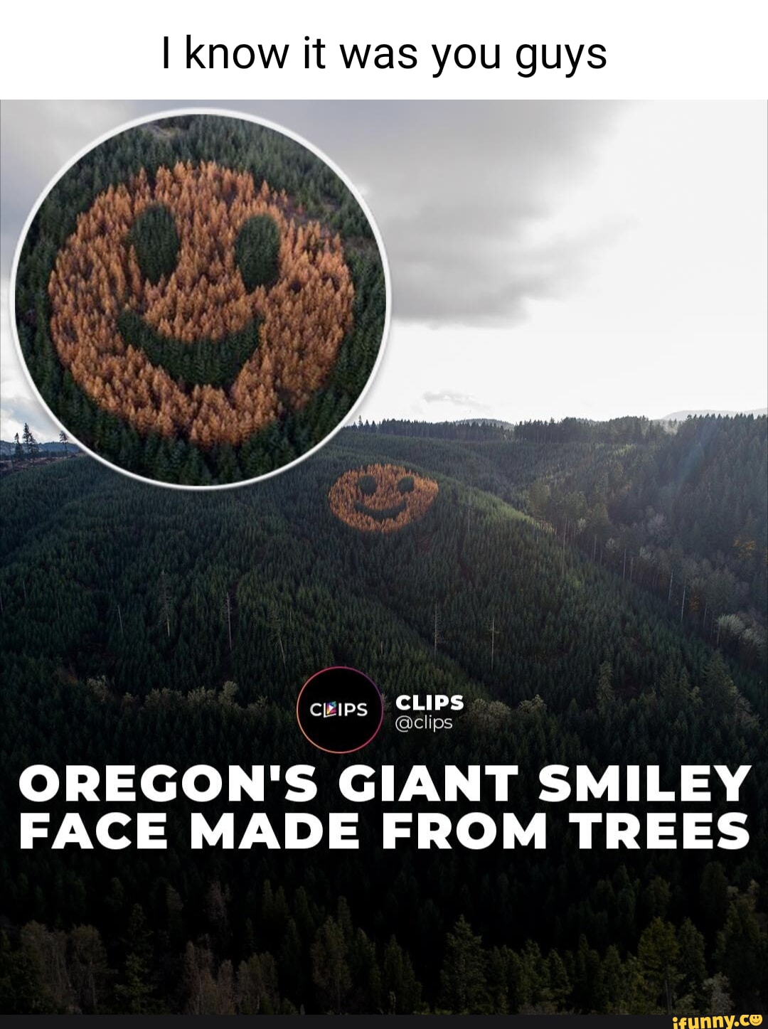 E humanpersonface So I googled Stygian Blue and... stygian blue W ...