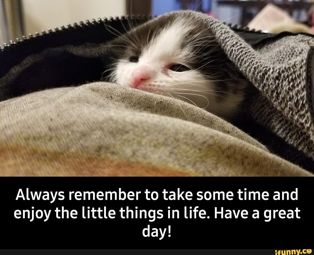 Always remember to take some time and enjoy the little things in life ...