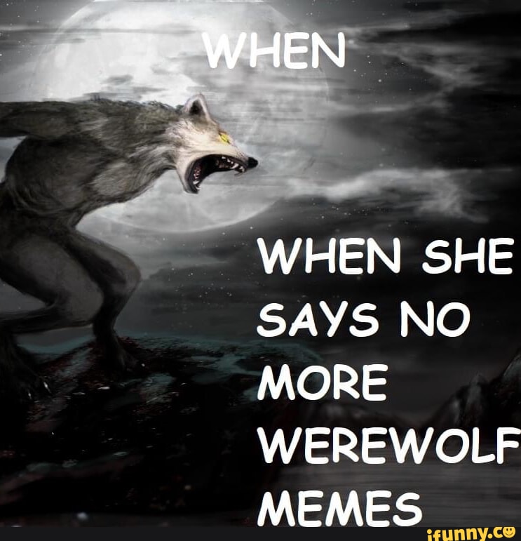 WHEN WHEN SHE SAYS NO MORE WEREWOLF MEMES - iFunny