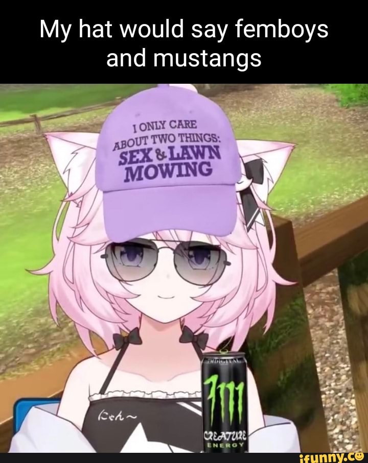 My hat would say femboys and mustangs ONLY CARE TWO THINGS: &LAWN ...