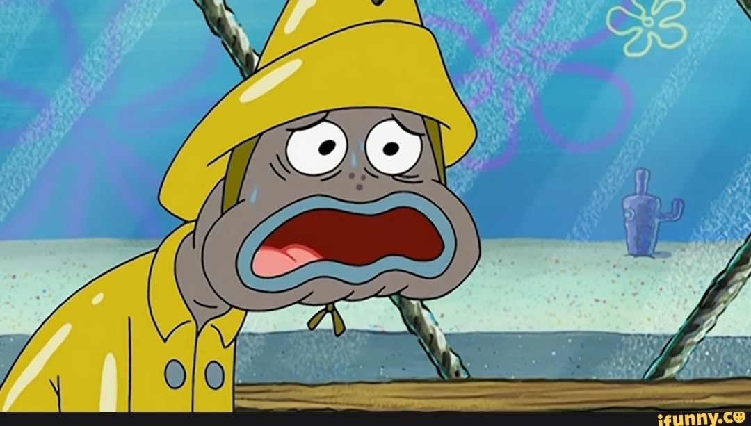 Alaskanbullworm memes. Best Collection of funny Alaskanbullworm ...