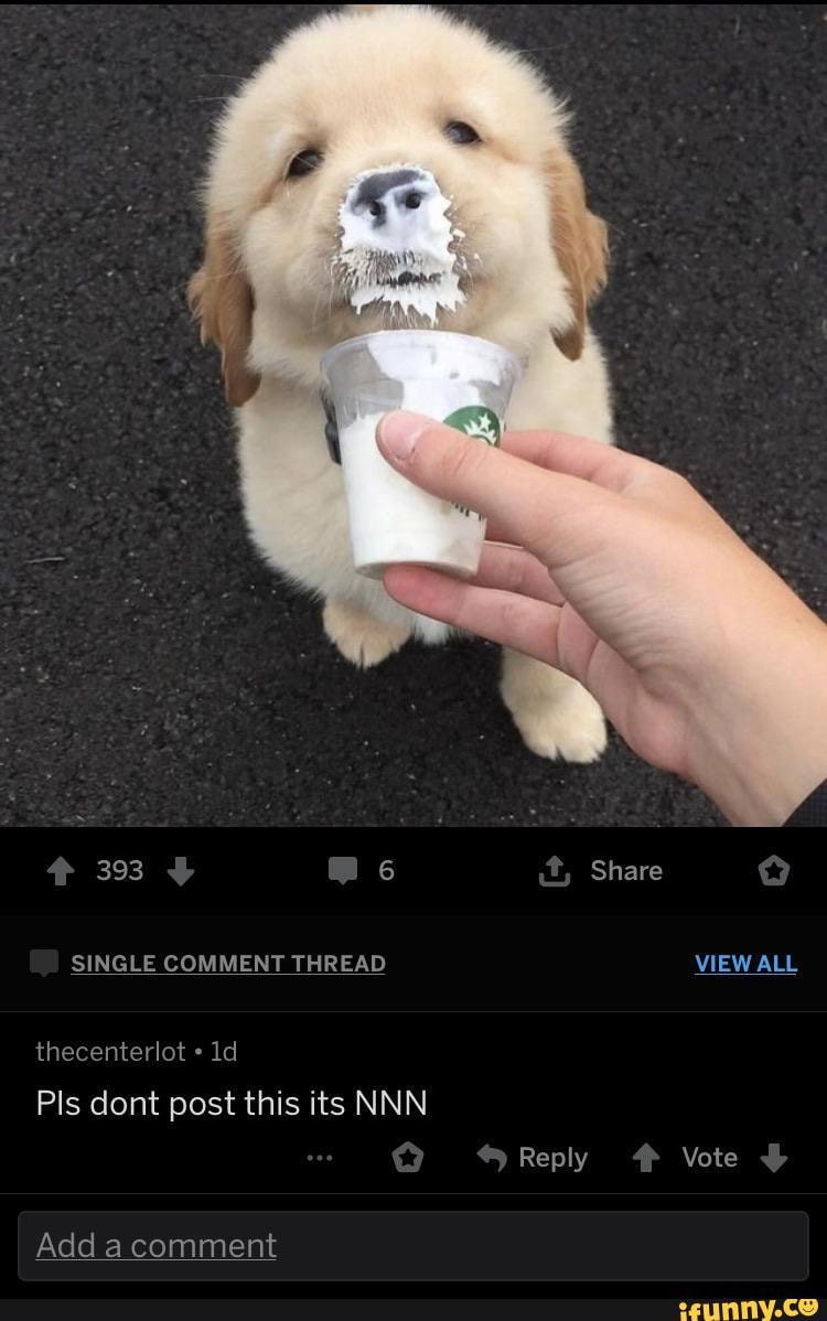 Cursed_puppy memes. Best Collection of funny Cursed_puppy pictures on ...