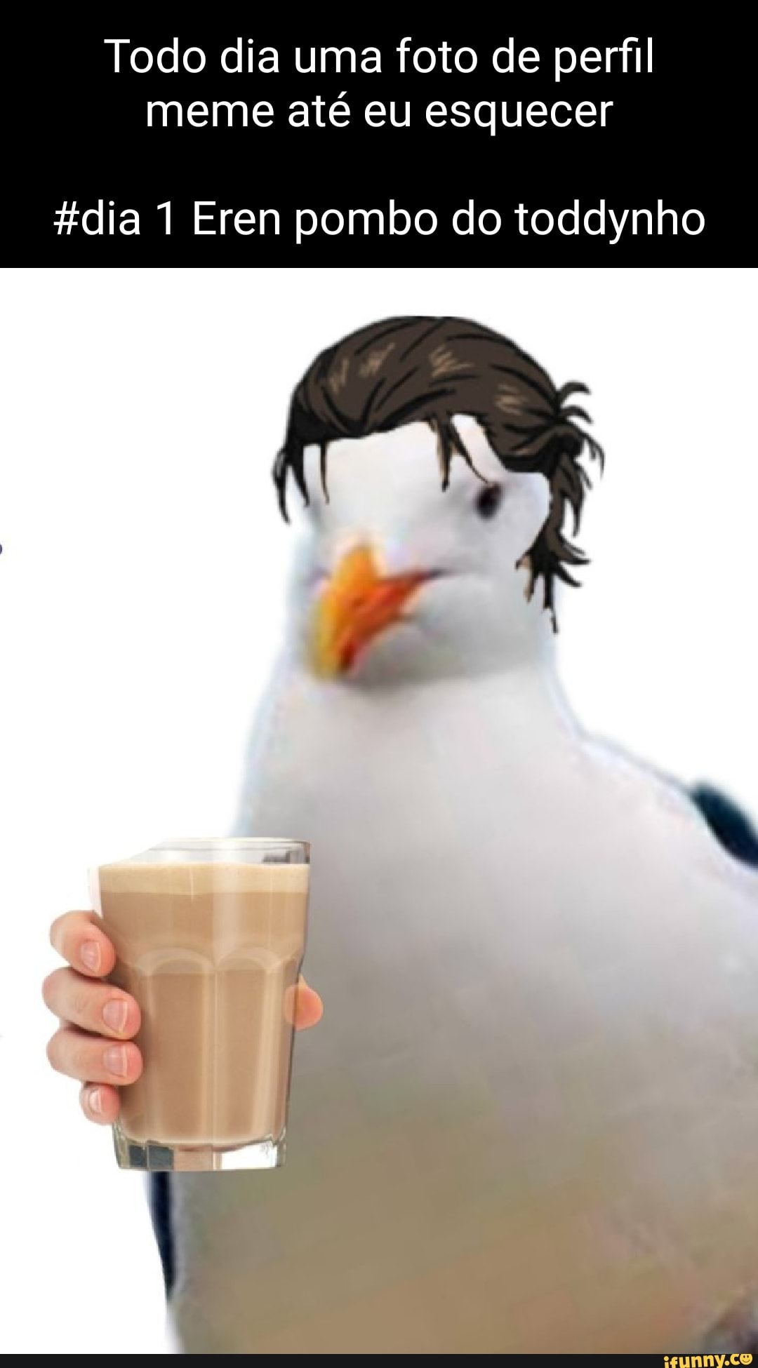 Todo dia uma foto de perfil meme até eu esquecer fídia 1 Eren pombo do ...