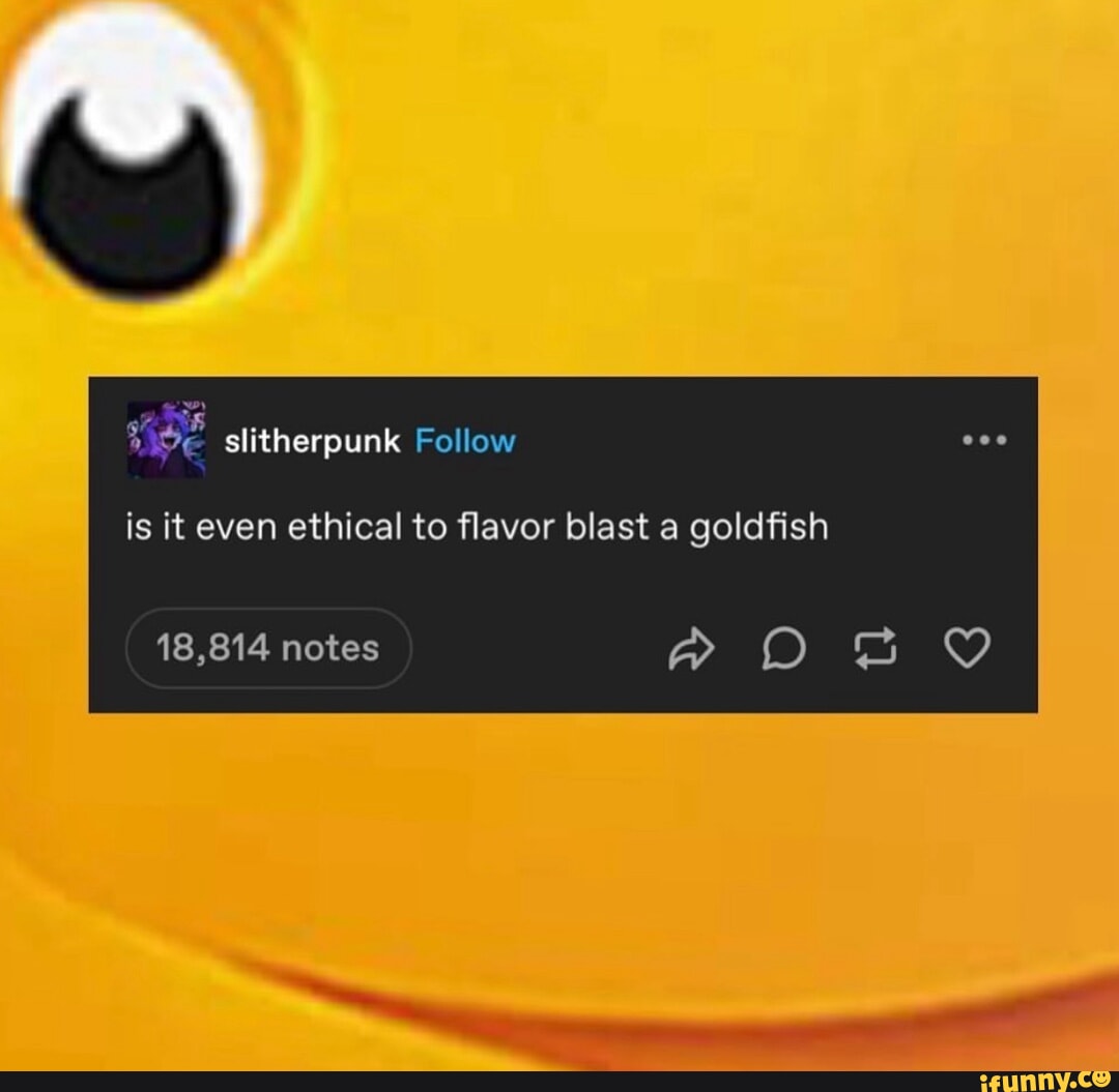 Goldfish memes. Best Collection of funny Goldfish pictures on iFunny